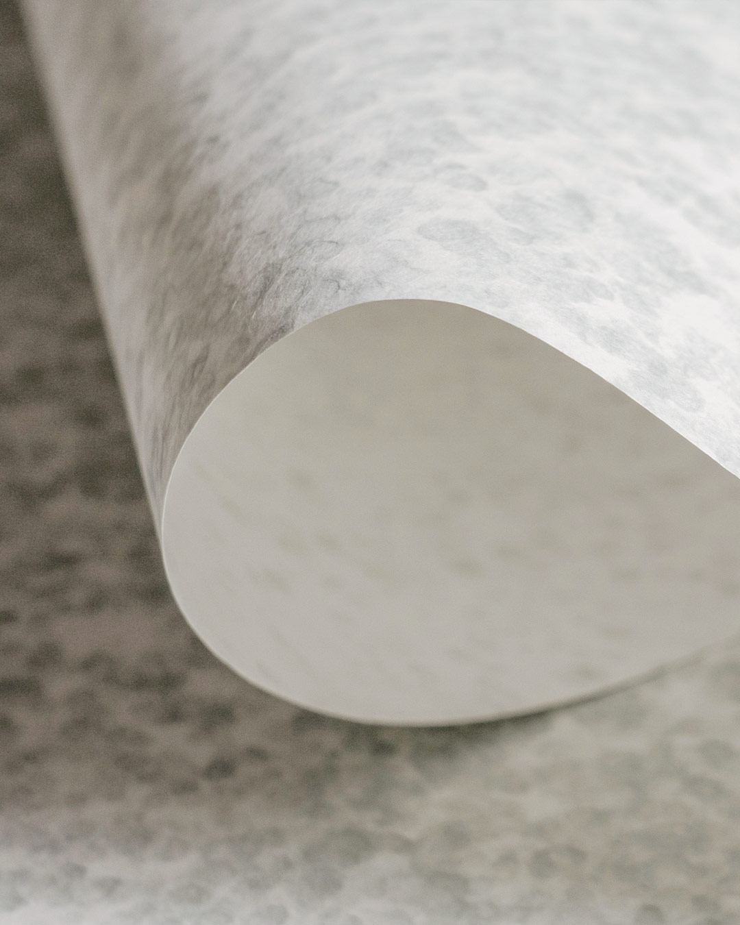 Carta riciclata e carta riciclabile: differenze tra processi e prodotti